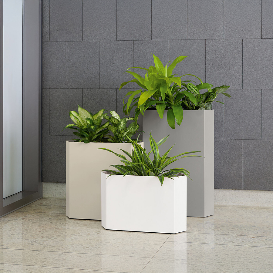 Workplace Design Trends | Ethosource